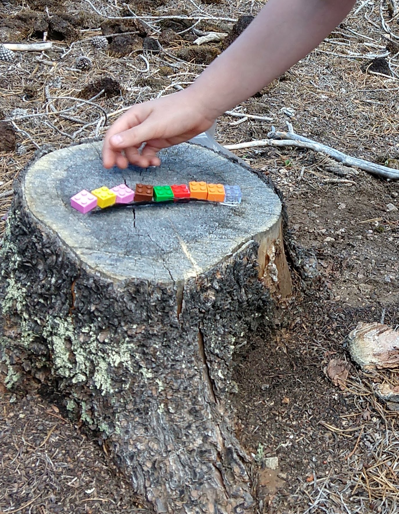 The Biggest Classroom – Explore the world. Learn for life.